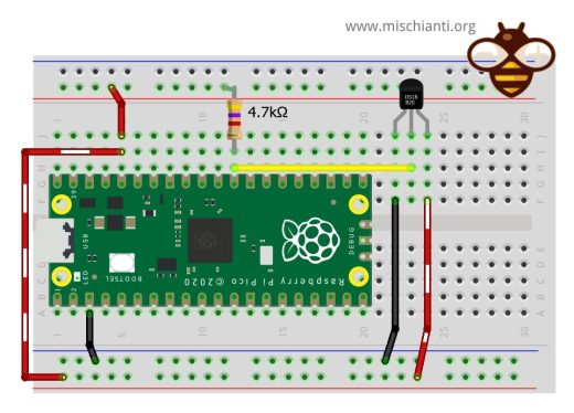 Dallas ds18b20 with Raspberry Pi Pico (rp2040): introduction and ...